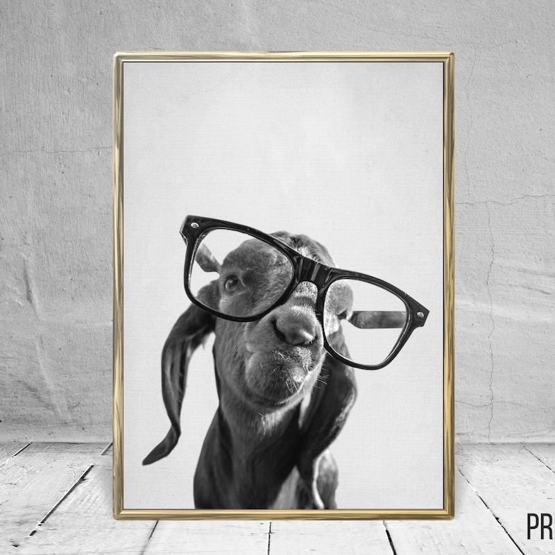 Goat Poster - Etsy