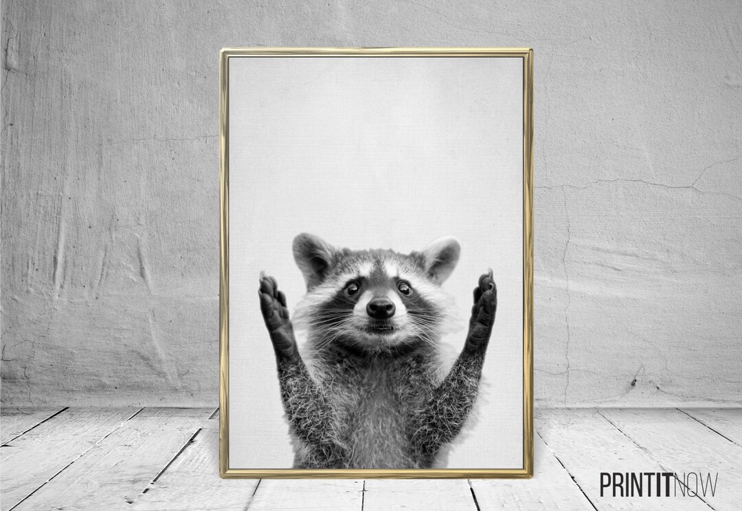 Racoon Print, Nursery Animal Decor Wall Art, Racoon Art, Large ...