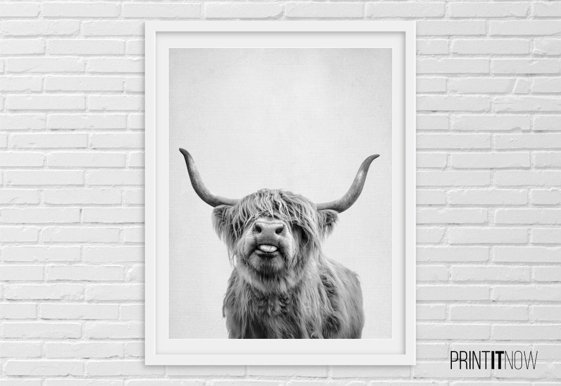 Highland Bull Print Nursery Animal Decor Wall Art Large - Etsy