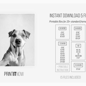Happy Dog Selfie Print, Nursery Animal Decor Wall Art, Large Printable ...