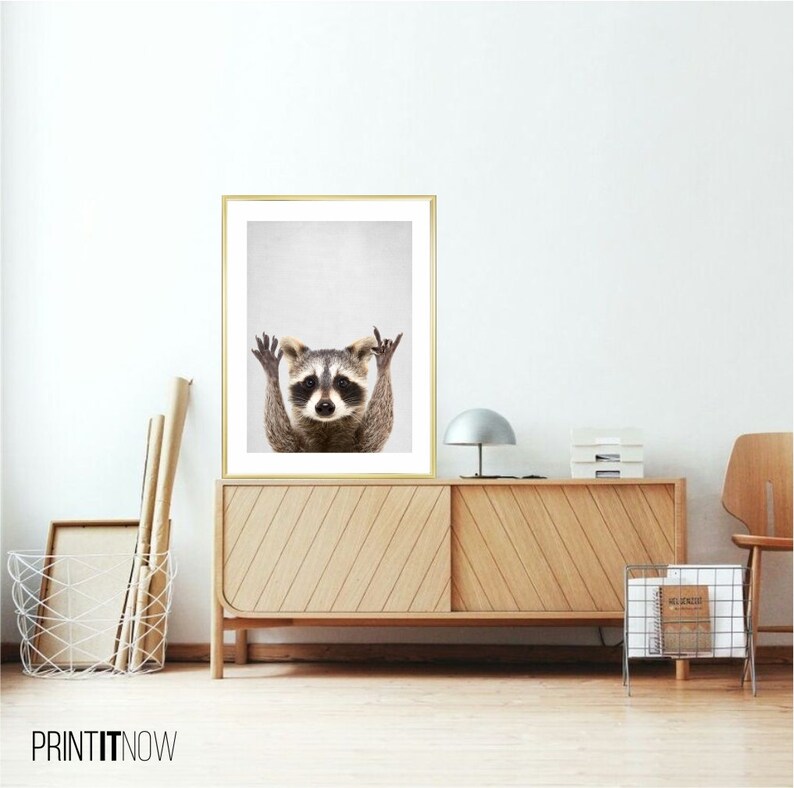 Cool Raccoon Print Nursery Animal Decor Wall Art Large | Etsy