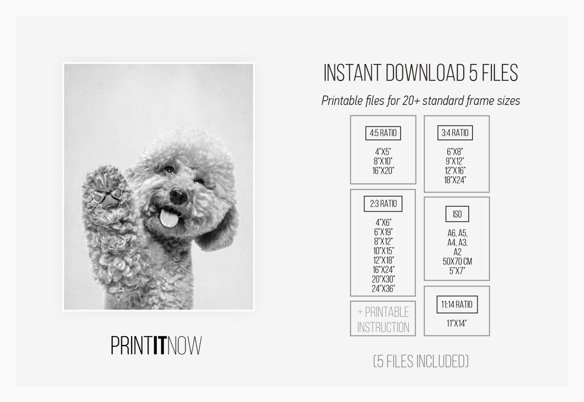 Hello Happy Dog Poster Nursery Animal Decor Wall Art Large - Etsy