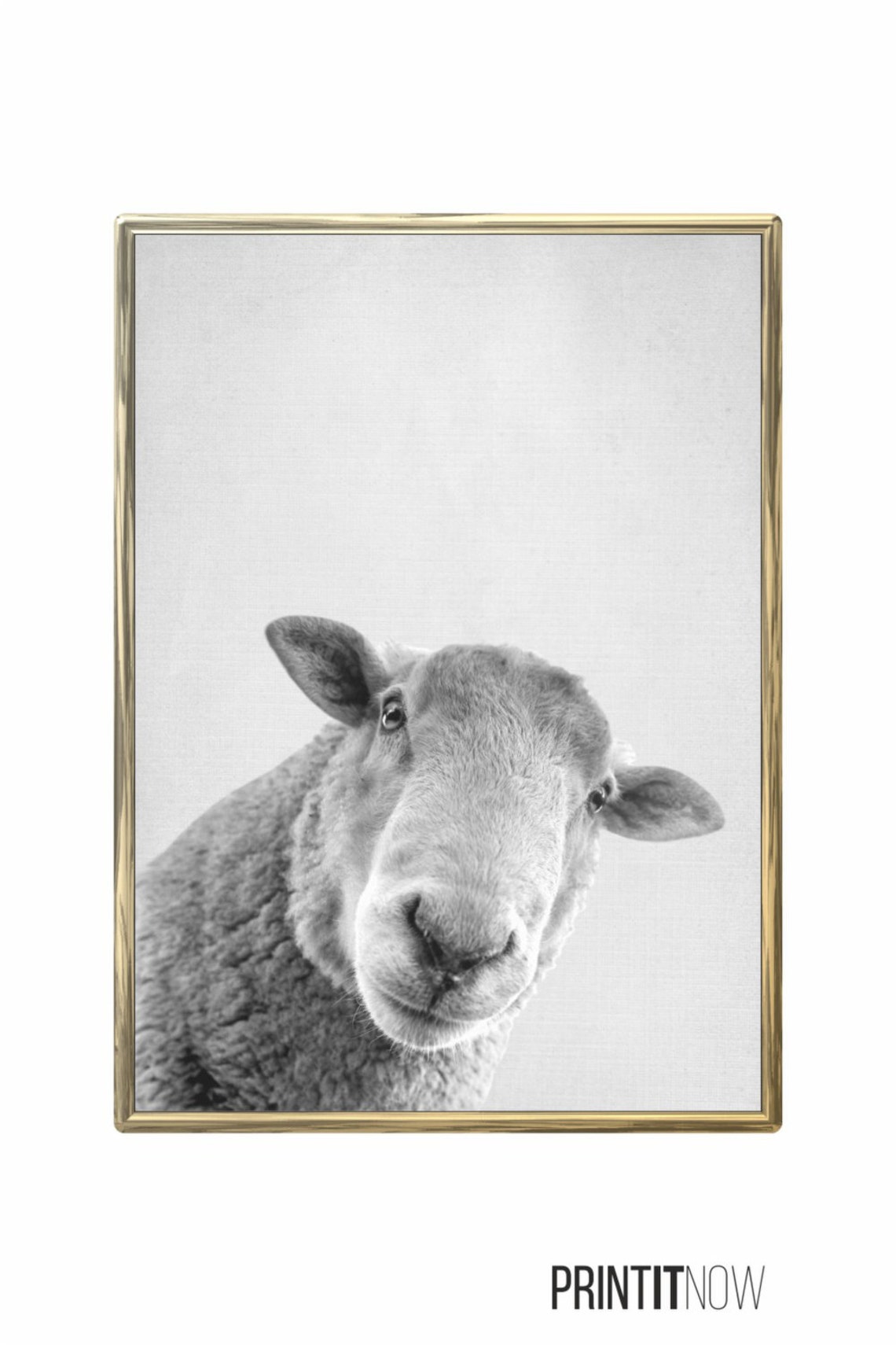 Sheep Print Nursery Animal Decor Wall Art Large Printable | Etsy