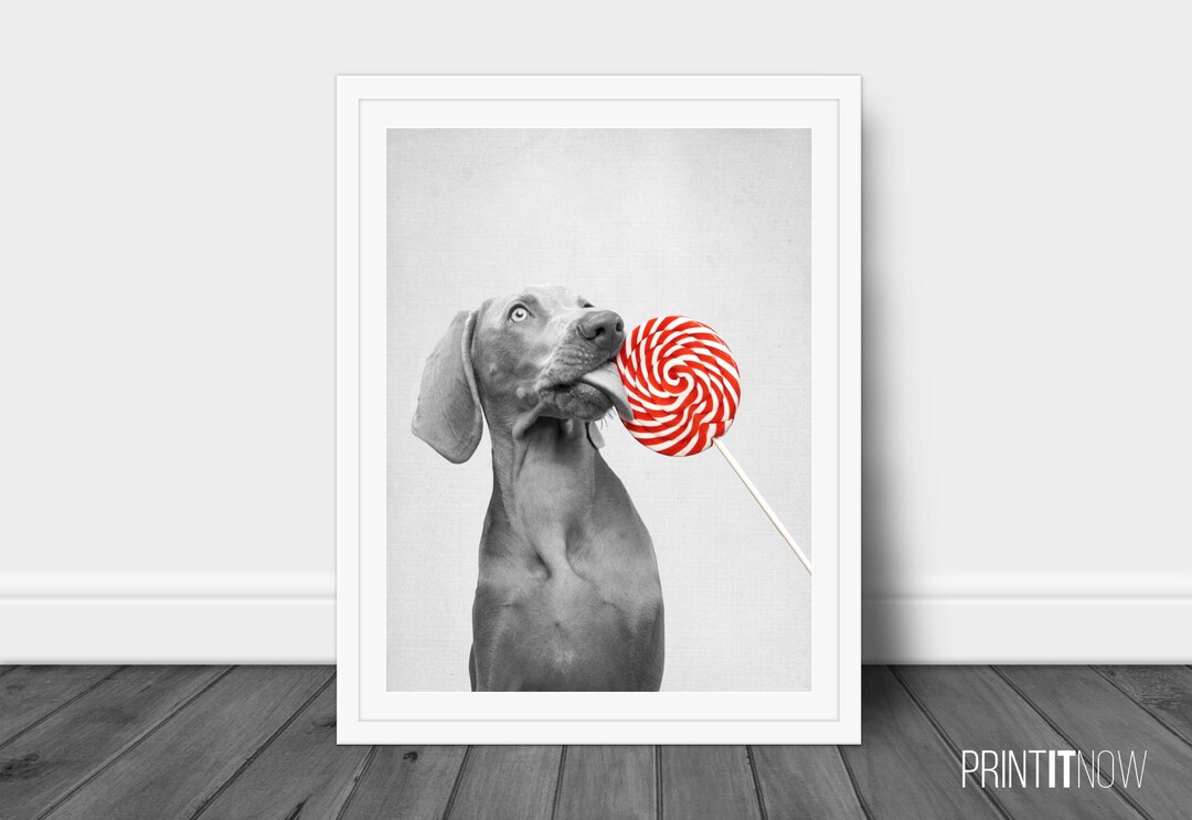 Dog With Lollipop Poster, Nursery Animal Decor Wall Art, Large ...