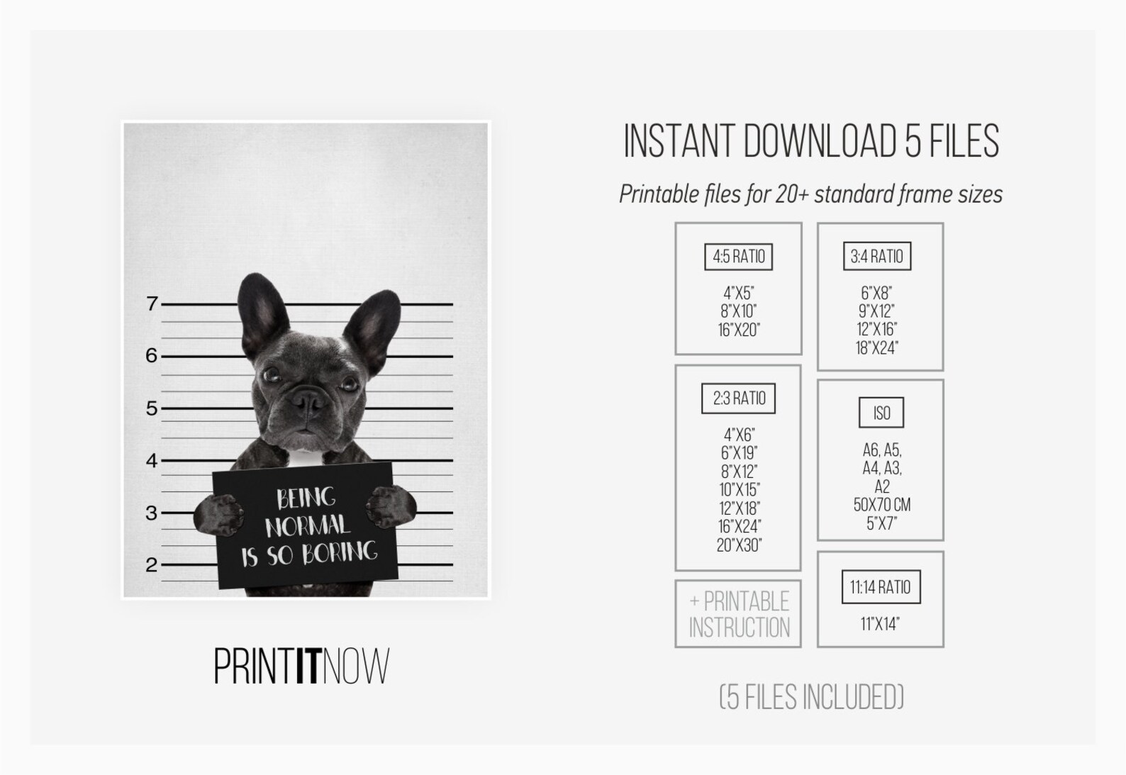 Dog Print Animal Wall Decor Art Large Printable Poster | Etsy