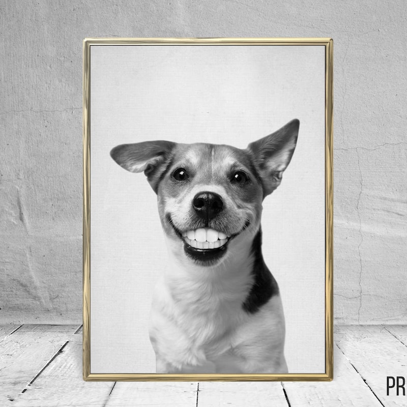 Smiling Dog - Etsy