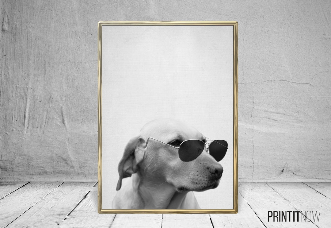 Dog Print, Nursery Animal Decor Wall Art, Dog Photo, Large Printable ...