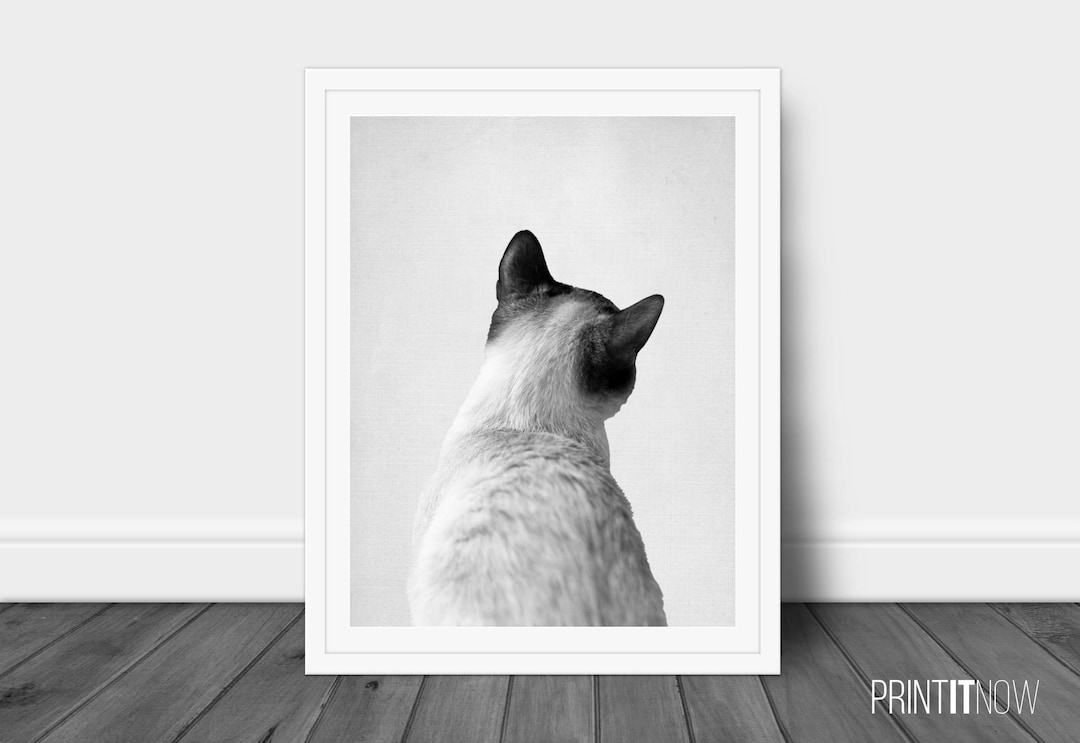 Cat Back Poster, Nursery Decor Wall Art, Large Printable Poster ...