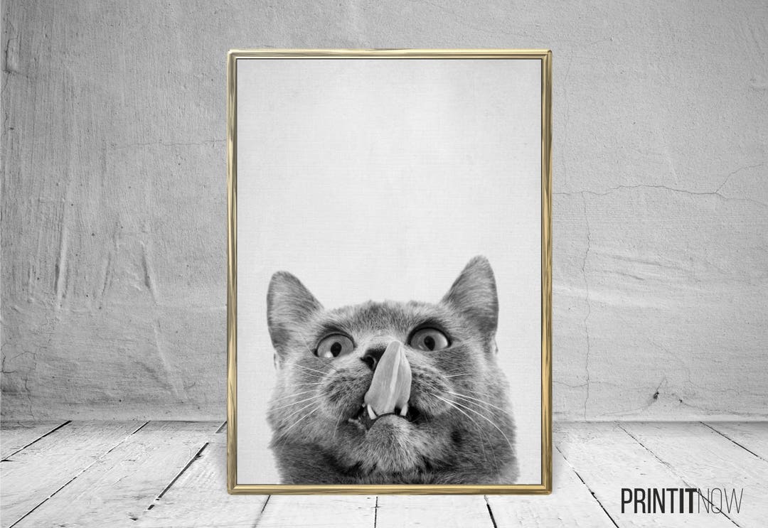 Cat Print, Nursery Animal Decor Wall Art, Large Printable Poster ...