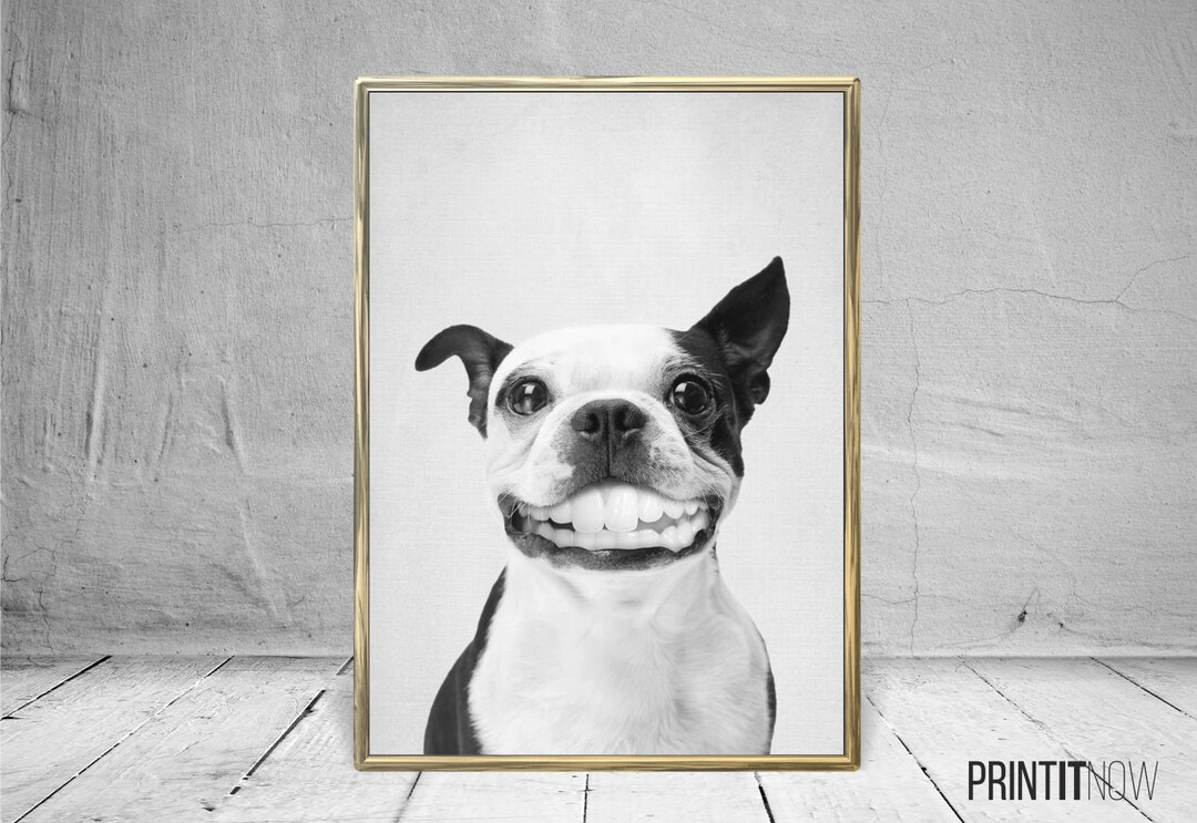 Dog Smile Print, Nursery Animal Decor Wall Art, Large Printable Poster ...