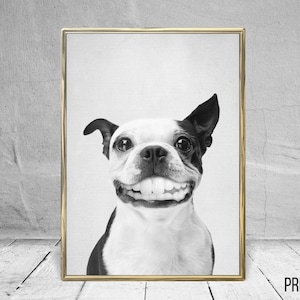 Dog Smile Print, Nursery Animal Decor Wall Art, Large Printable Poster ...