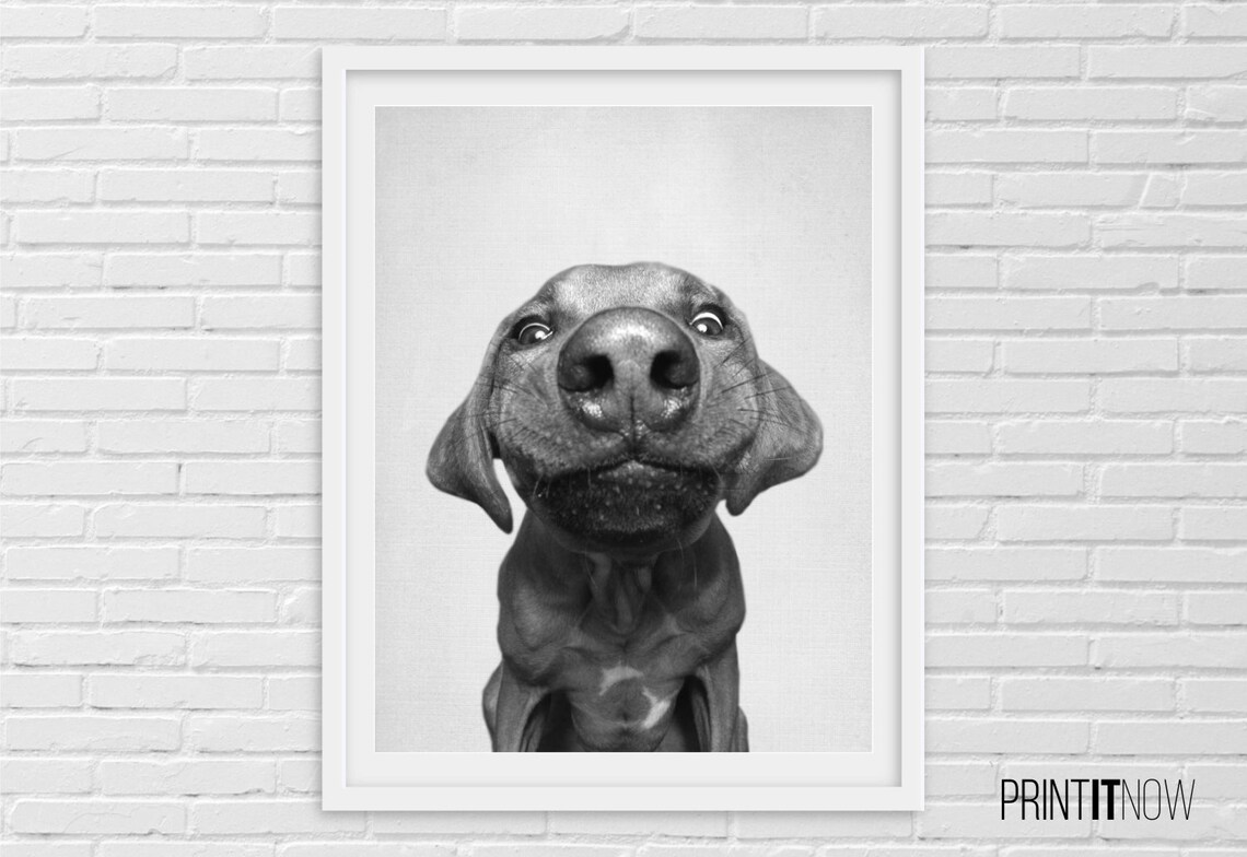 Happy Dog Print Nursery Animal Decor Wall Art Large - Etsy