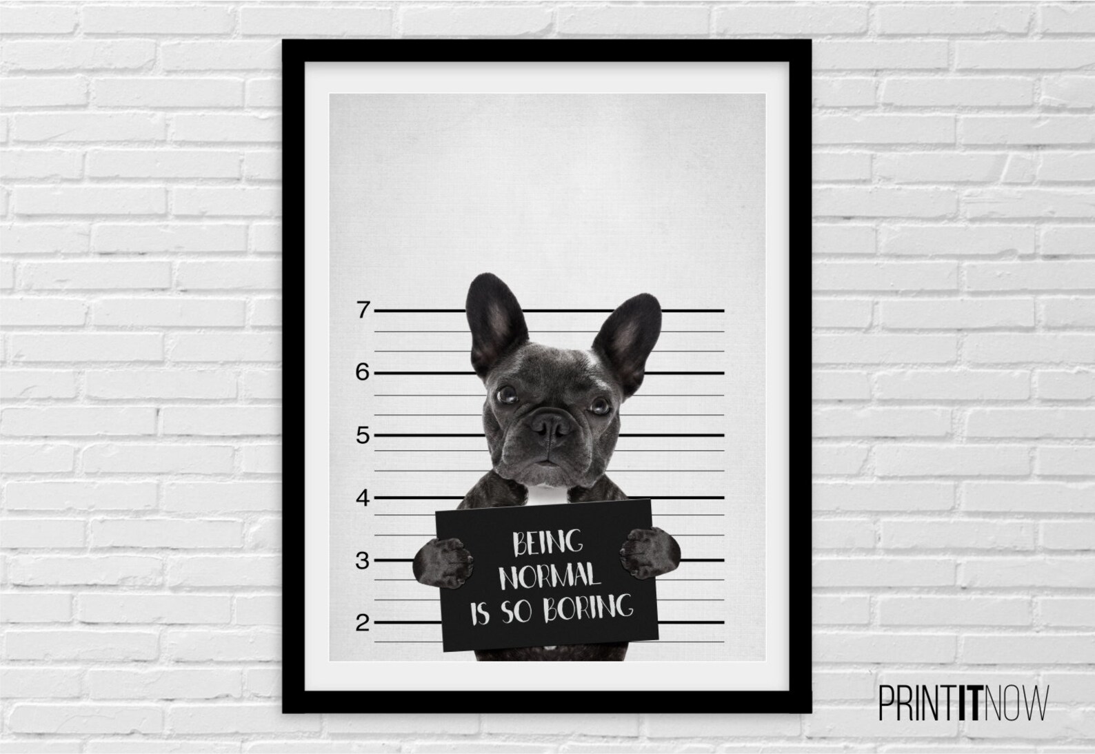 Dog Print Animal Wall Decor Art Large Printable Poster | Etsy
