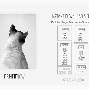 Cat Back Poster, Nursery Decor Wall Art, Large Printable Poster ...