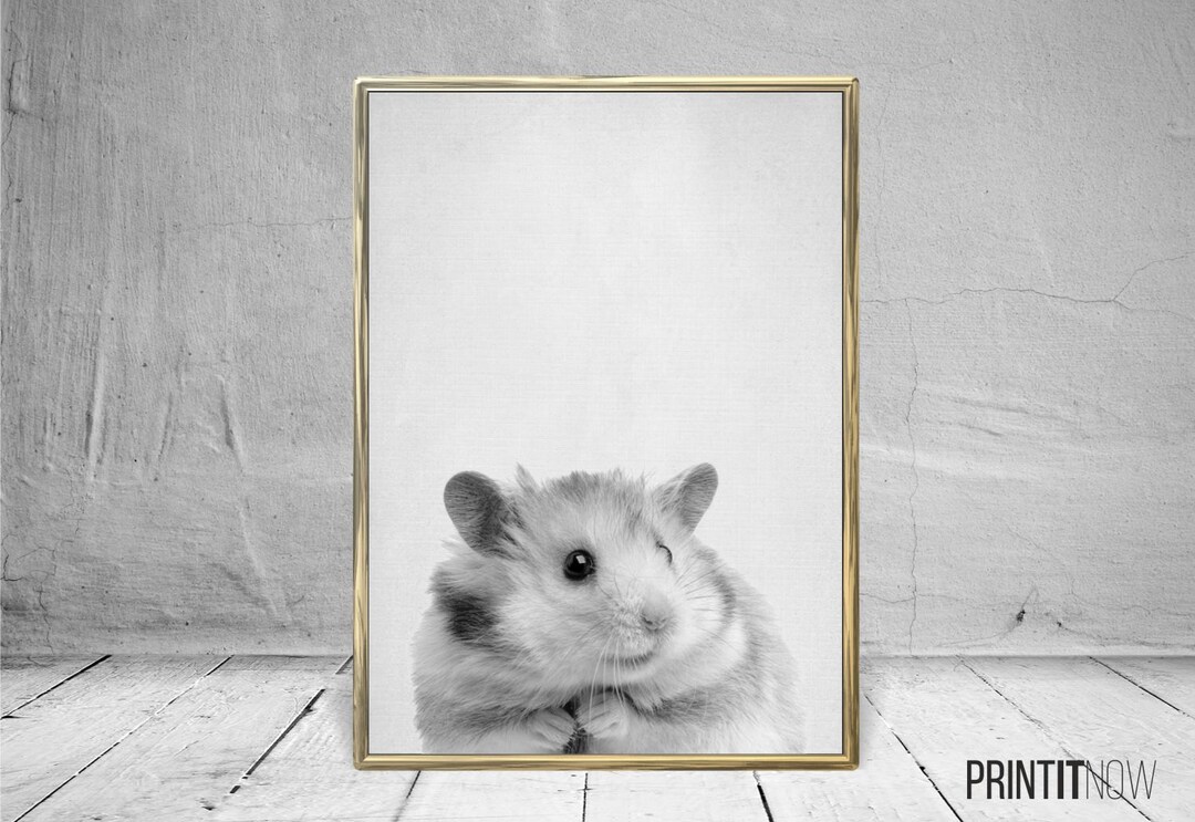 Hamster Print, Nursery Animal Decor Wall Art, Large Printable Poster ...
