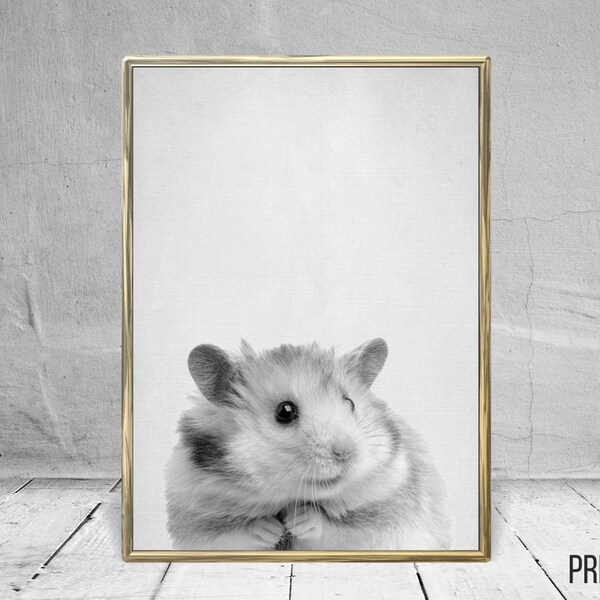Hamster Poster - Etsy