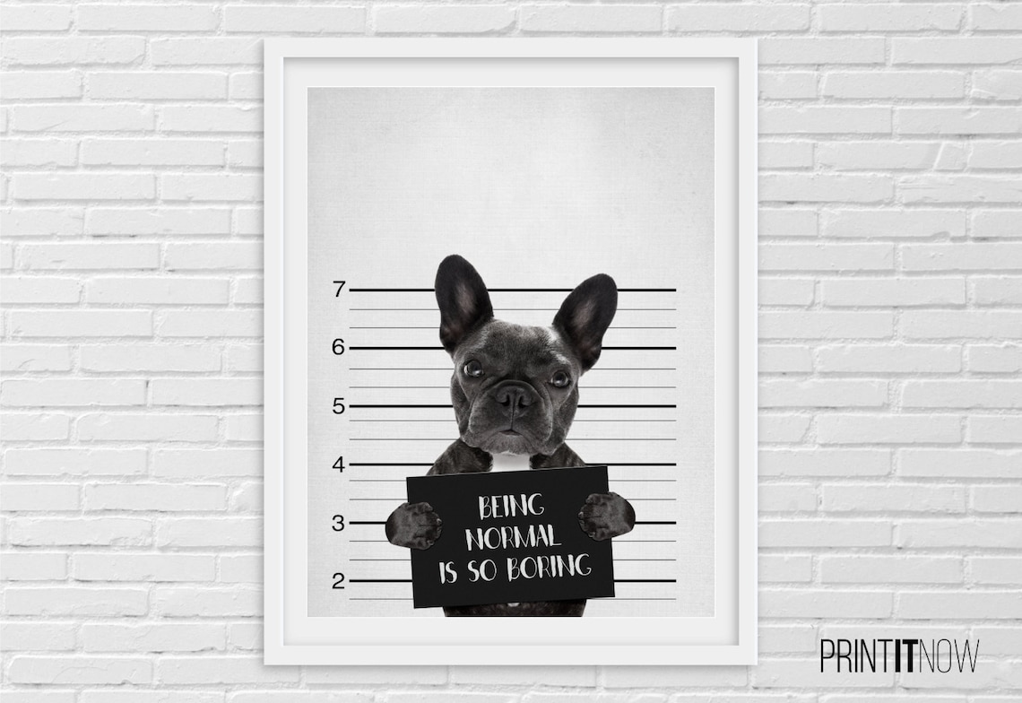 Dog Print Animal Wall Decor Art Large Printable Poster | Etsy