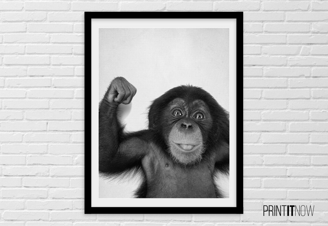 Monkey Print Nursery Animal Decor Wall Art Large Printable - Etsy Canada