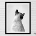 Cat Back Poster Nursery Decor Wall Art Large Printable - Etsy
