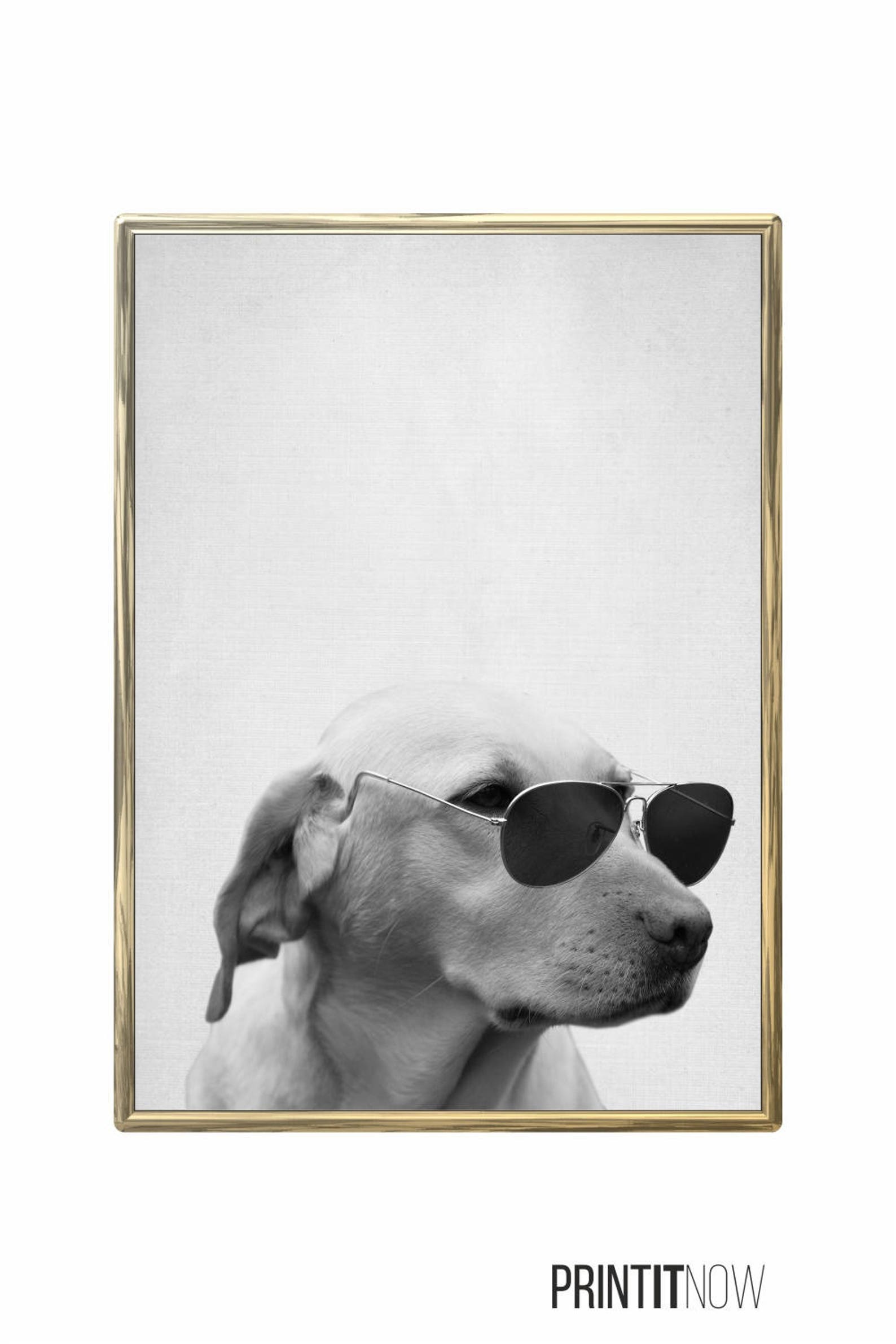 Dog Print Nursery Animal Decor Wall Art Dog Photo Large - Etsy