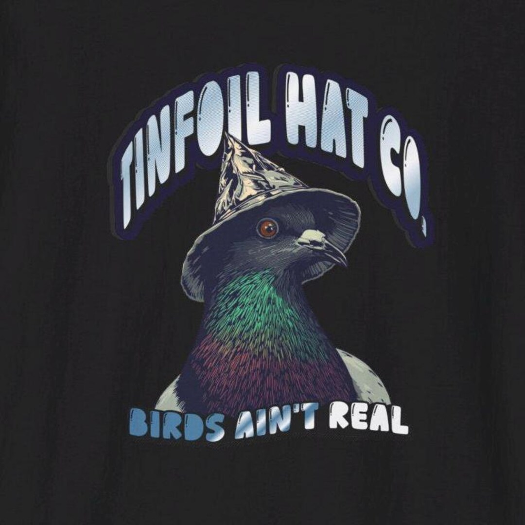Tinfoil Hat Co Pigeon Graphic T-shirt | Birds Ain't Real, Conspiracy ...