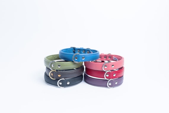 Alpine Collar Genuine Leather Padded Dog Collar - Etsy