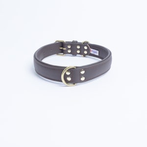 Alpine Collar - Genuine Leather Padded Dog Collar - Etsy