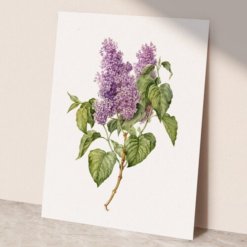 Lilac Flower Print Flower Printable Art Floral Wall Art Spring | Etsy