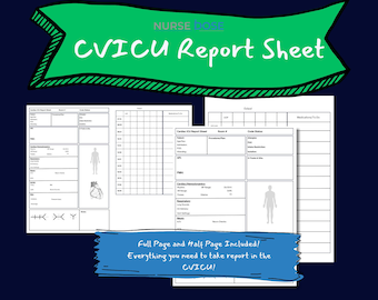 CVICU Nurse Report Sheet - Etsy