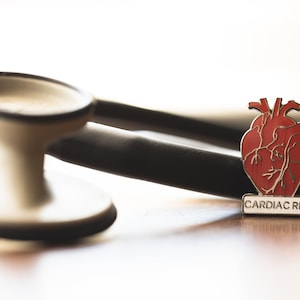 Cardiac RN Heart Pin Anatomical Heart Pin Nurse Gift CVICU Nurse Pin - Etsy