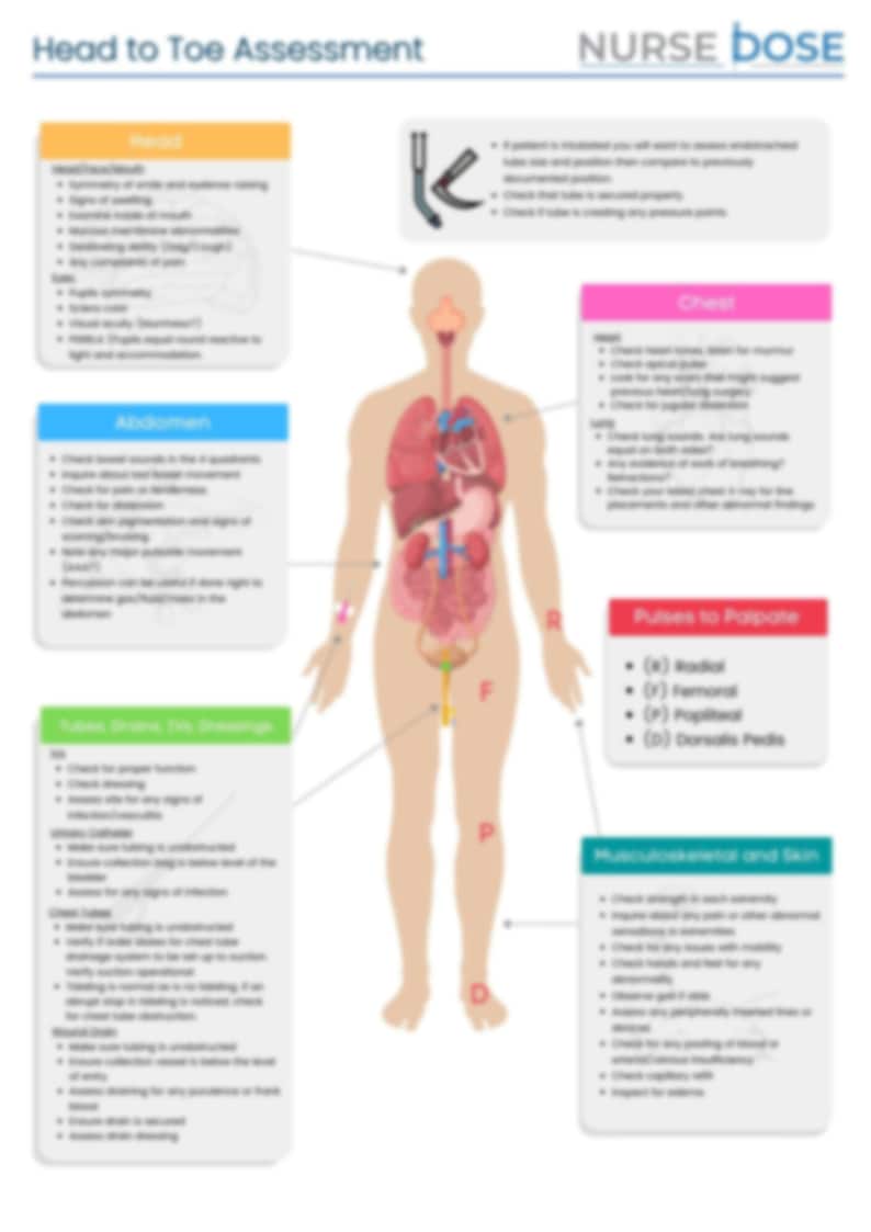 Head-to-toe Assessment Cheat Sheet: Nursing Study Guide (PDF) - Etsy