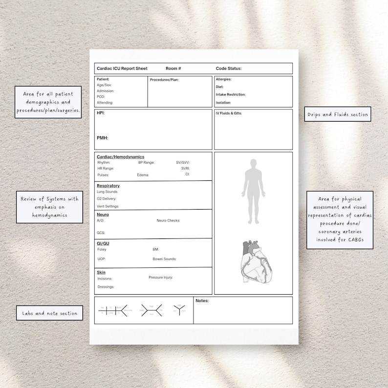 CVICU Nurse Report Sheet: Cardiac RN Brain Sheet (digital Download) - Etsy