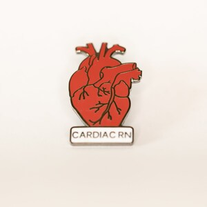 Cardiac RN Heart Pin Anatomical Heart Pin Nurse Gift CVICU Nurse Pin - Etsy