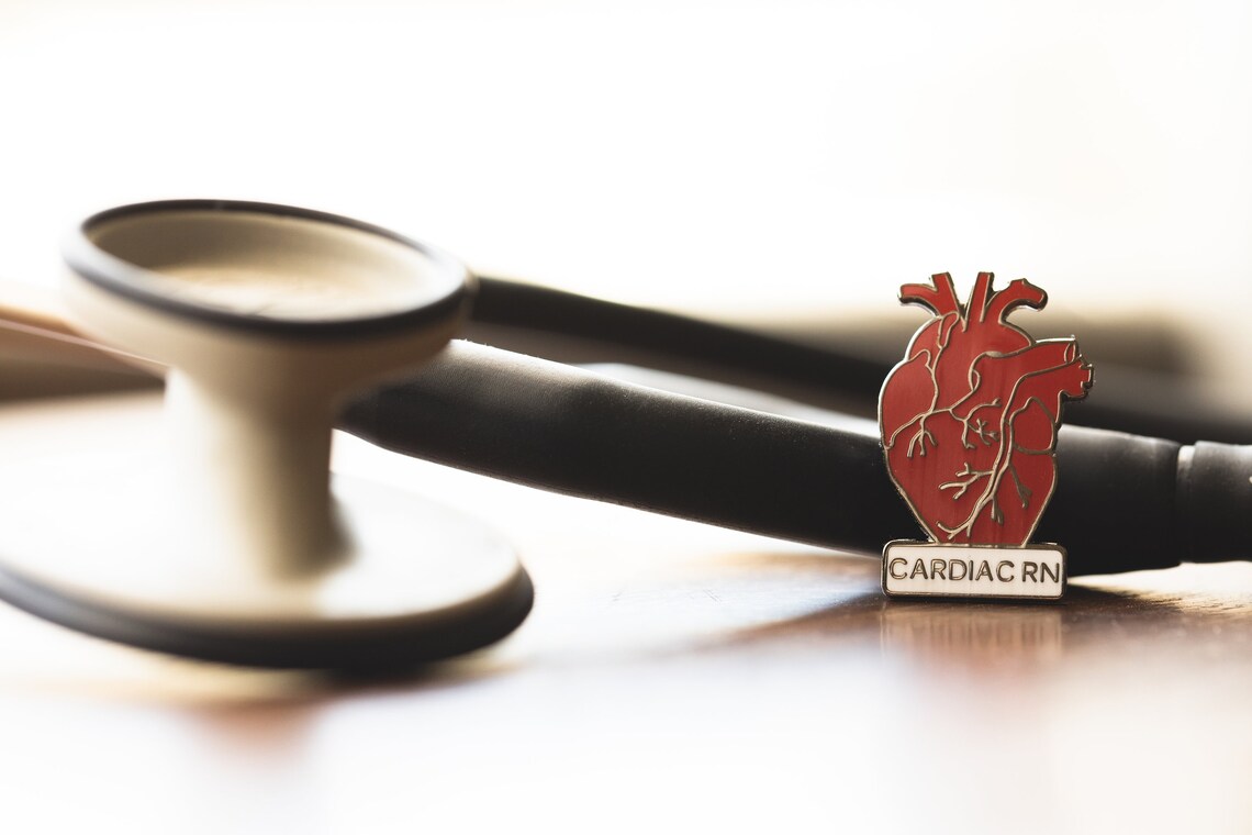 Cardiac RN Heart Pin Anatomical Heart Pin Nurse Gift - Etsy