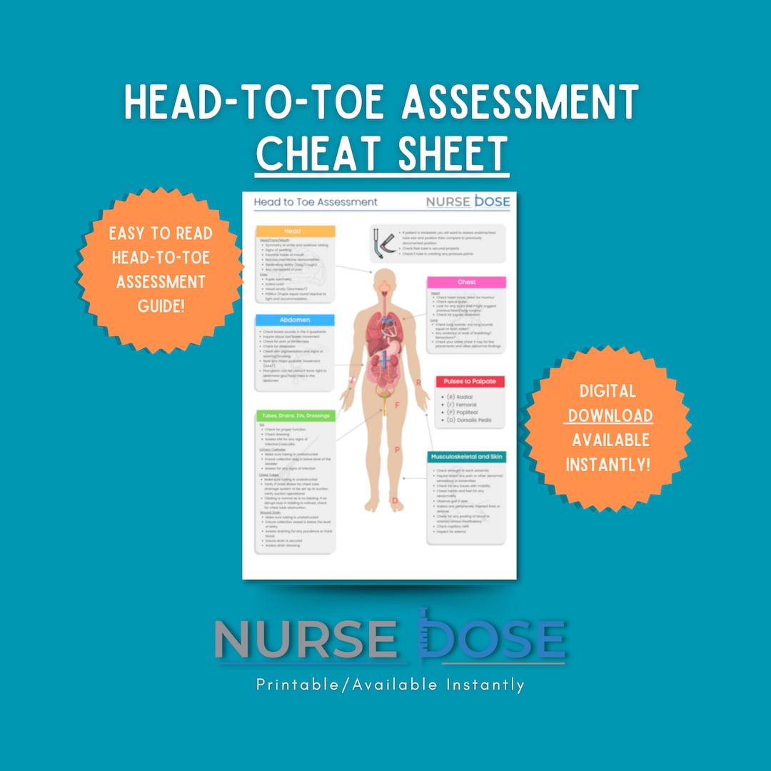 Head to Toe Assessment Nursing Cheat Sheet Nurse Report Sheet Physical ...
