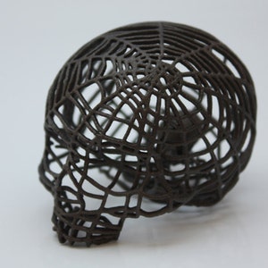 Arachne Black Widow Spiderweb Skull With Hidden Inscription - Etsy