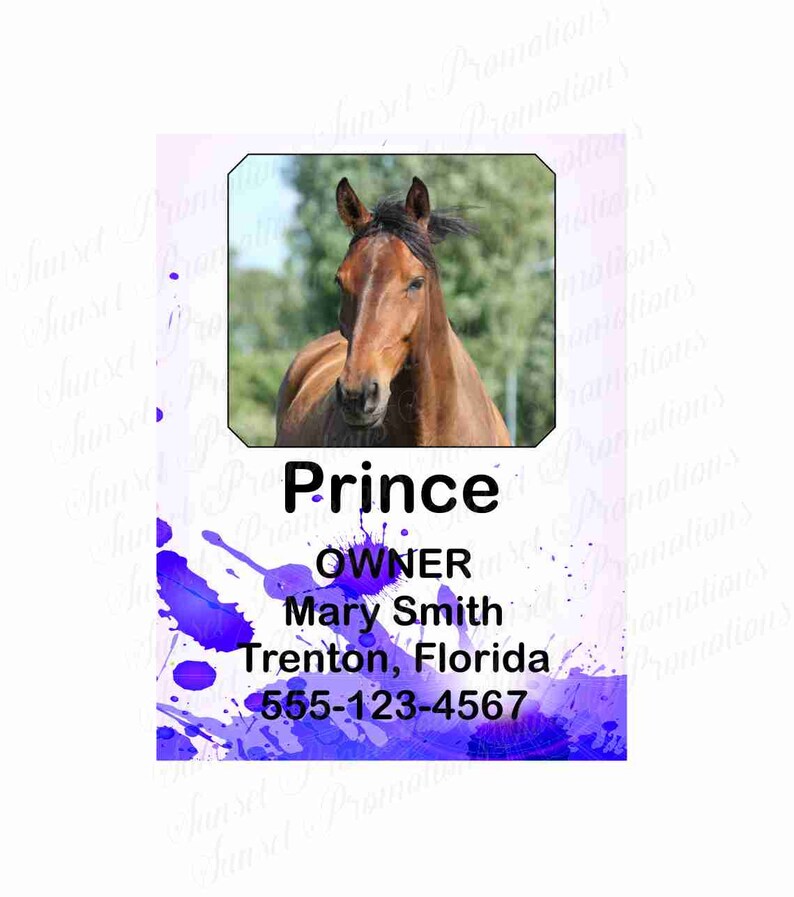 Equine ID Badge - Etsy
