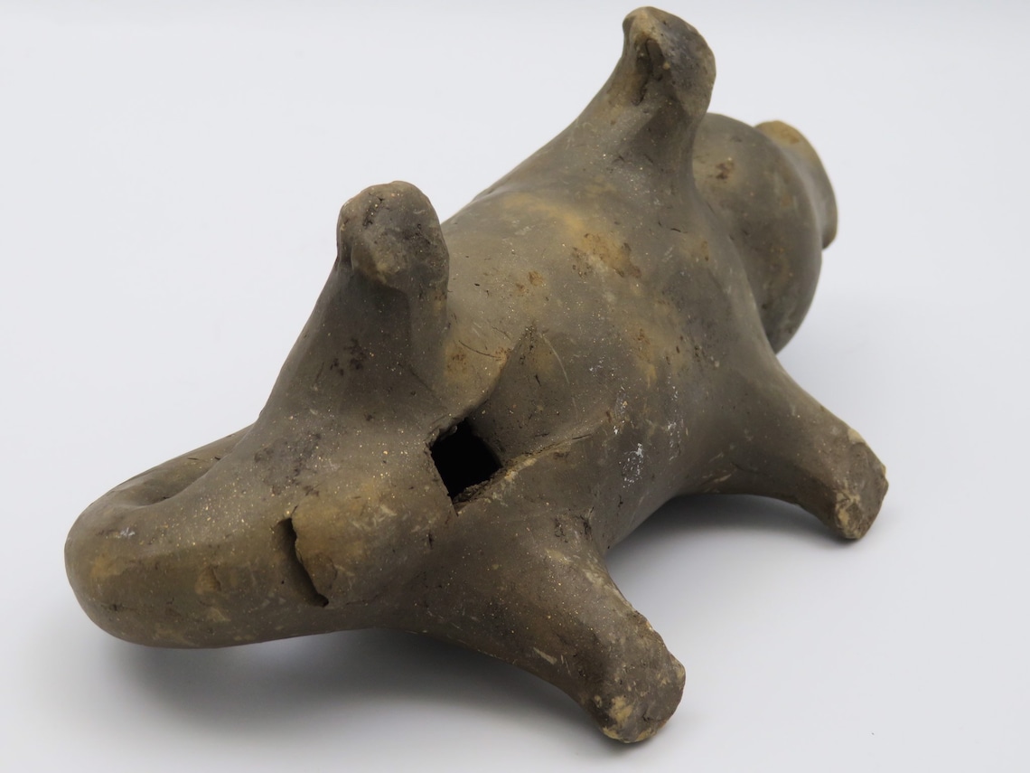 Antique Native Columbian Mayan Freshwater Alligator Tairona | Etsy