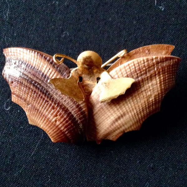 Seashell Butterfly - Etsy