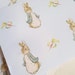 Peter Rabbit Wrapping Paper - Beatrix Potter Gift Wrap - Peter Rabbit ...