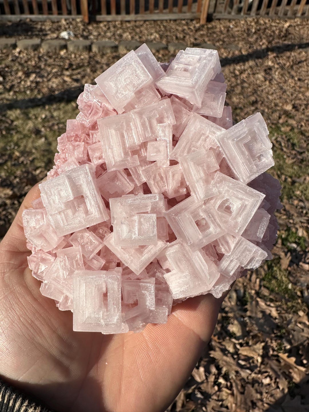 Pink Halite | Halite Cluster | Halite From Trona | Halite Crystal ...