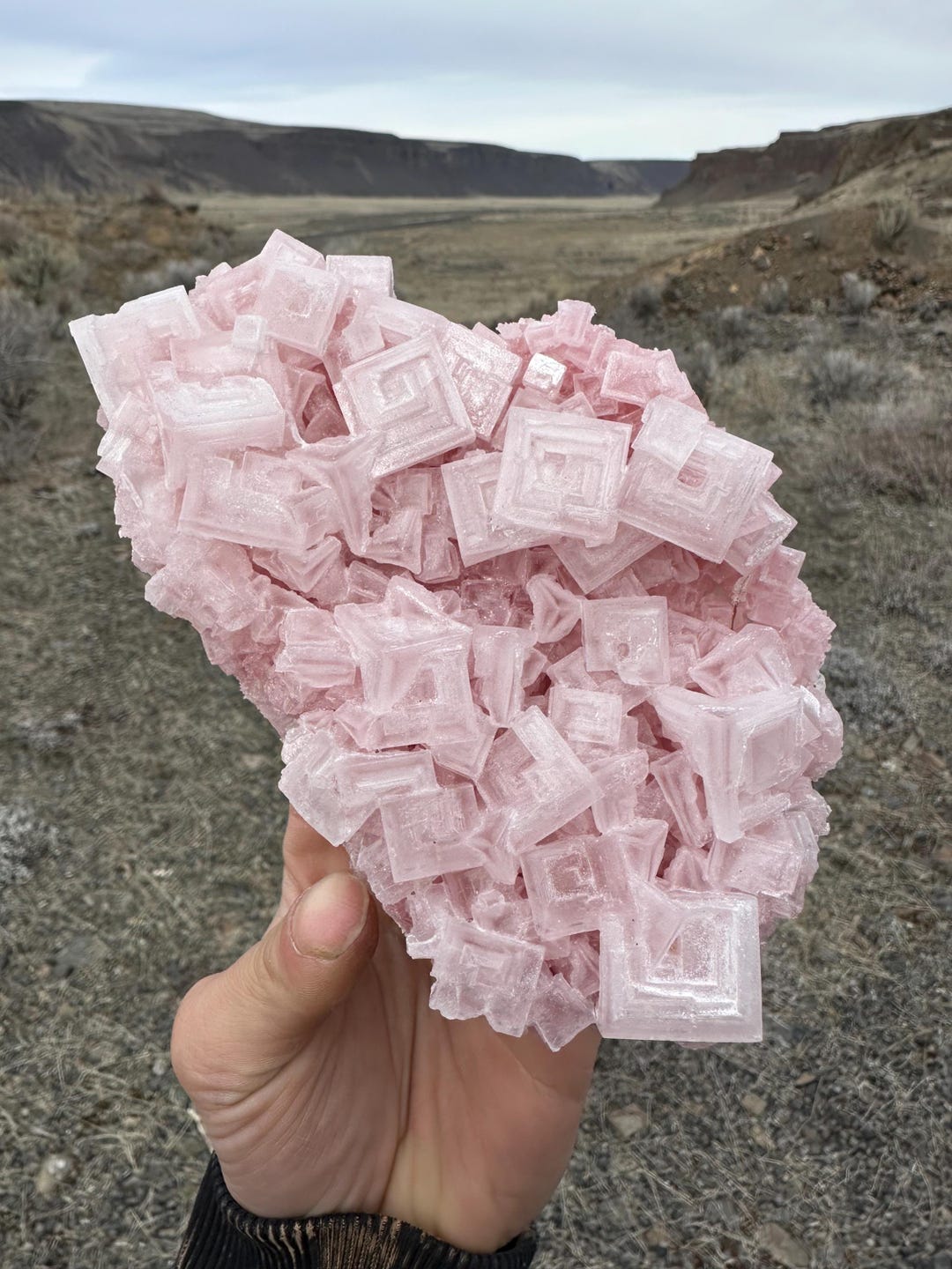 Pink Halite | Halite Cluster | Halite From Trona | Halite Crystal ...