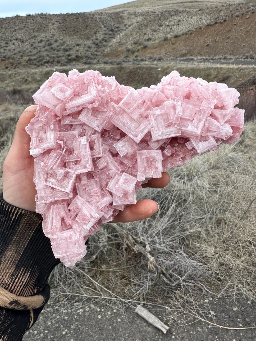 Pink Halite | Halite Cluster | Halite From Trona | Halite Crystal ...