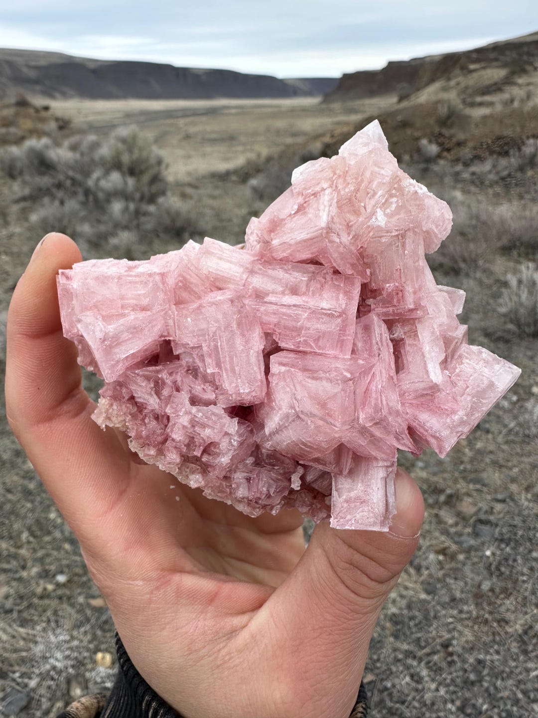 Pink Halite From Searles Lake, Trona, California, USA - Etsy