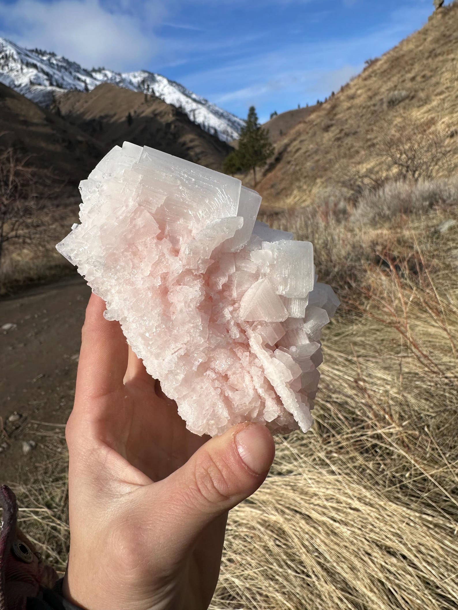 Pink Halite Halite Cluster Halite From Trona Halite Crystal Halite ...