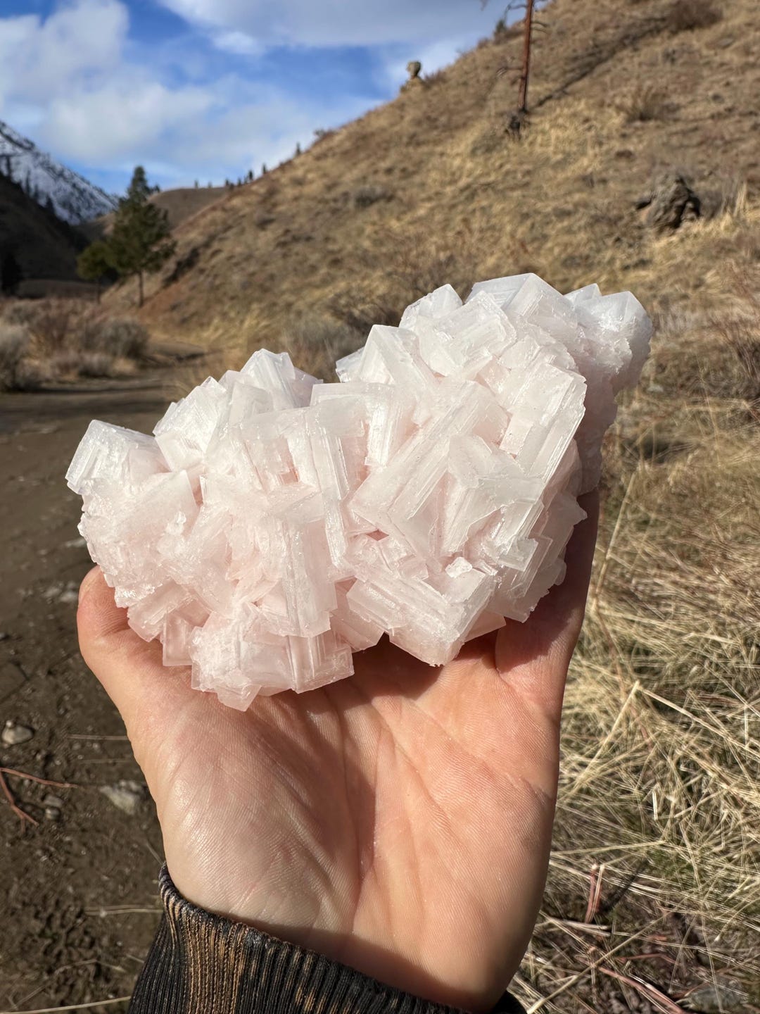 Pink Halite Halite Cluster Halite From Trona Halite Crystal Halite ...