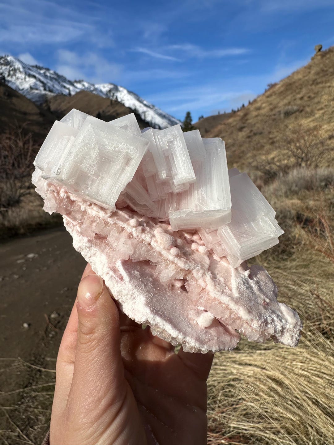 Pink Halite Halite Cluster Halite From Trona Halite Crystal Halite ...