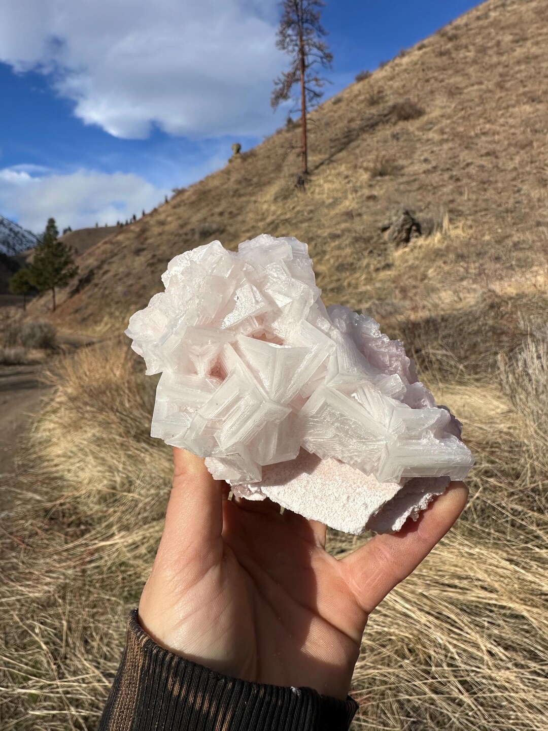 Pink Halite Halite Cluster Halite From Trona Halite Crystal Halite ...