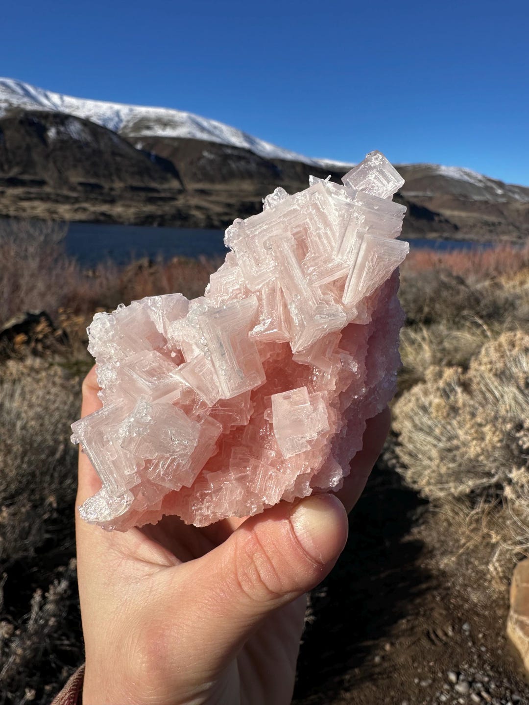 Pink Halite From Searles Lake, Trona, California, USA - Etsy