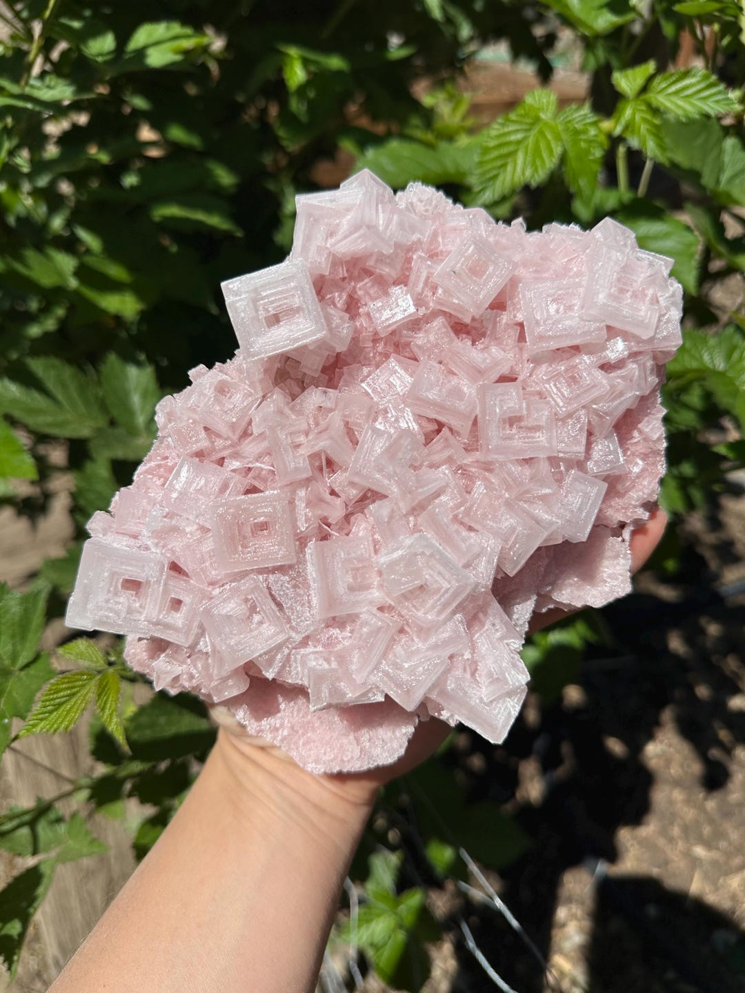 Pink Halite From Searles Lake, Trona, California, USA - Etsy